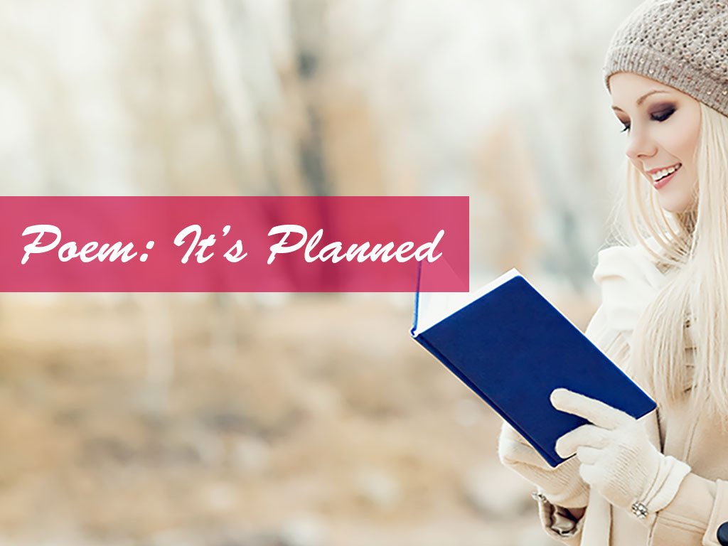It's Planned - A Supply Chain Planning Poem