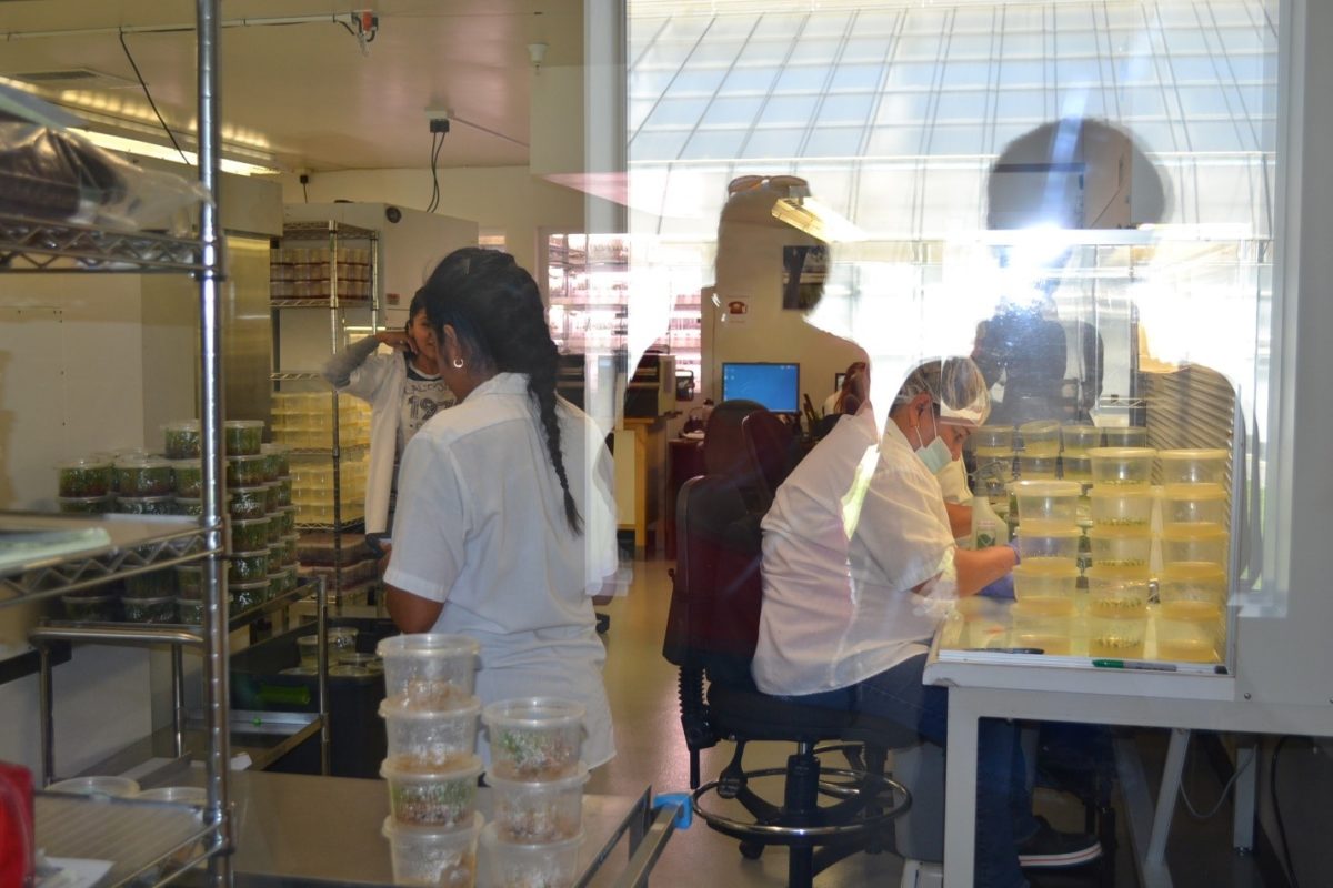 Driscoll's Not Your Average Berry!